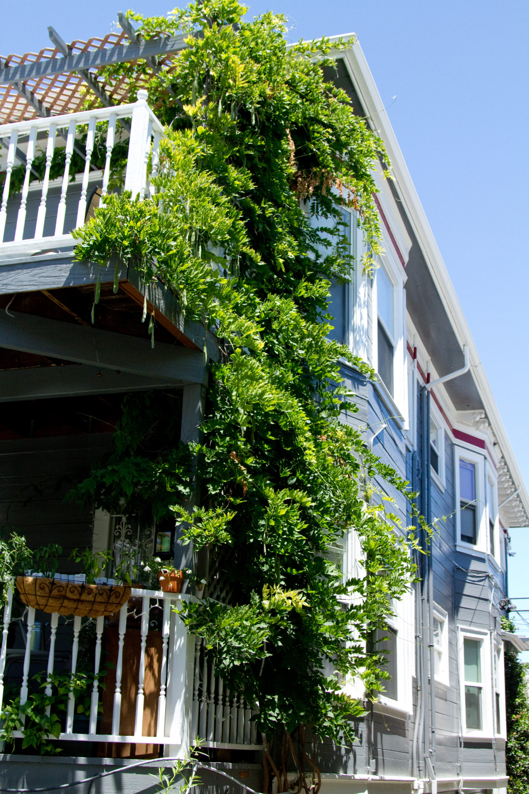 Core and Shell Construction with Black Creek Builders