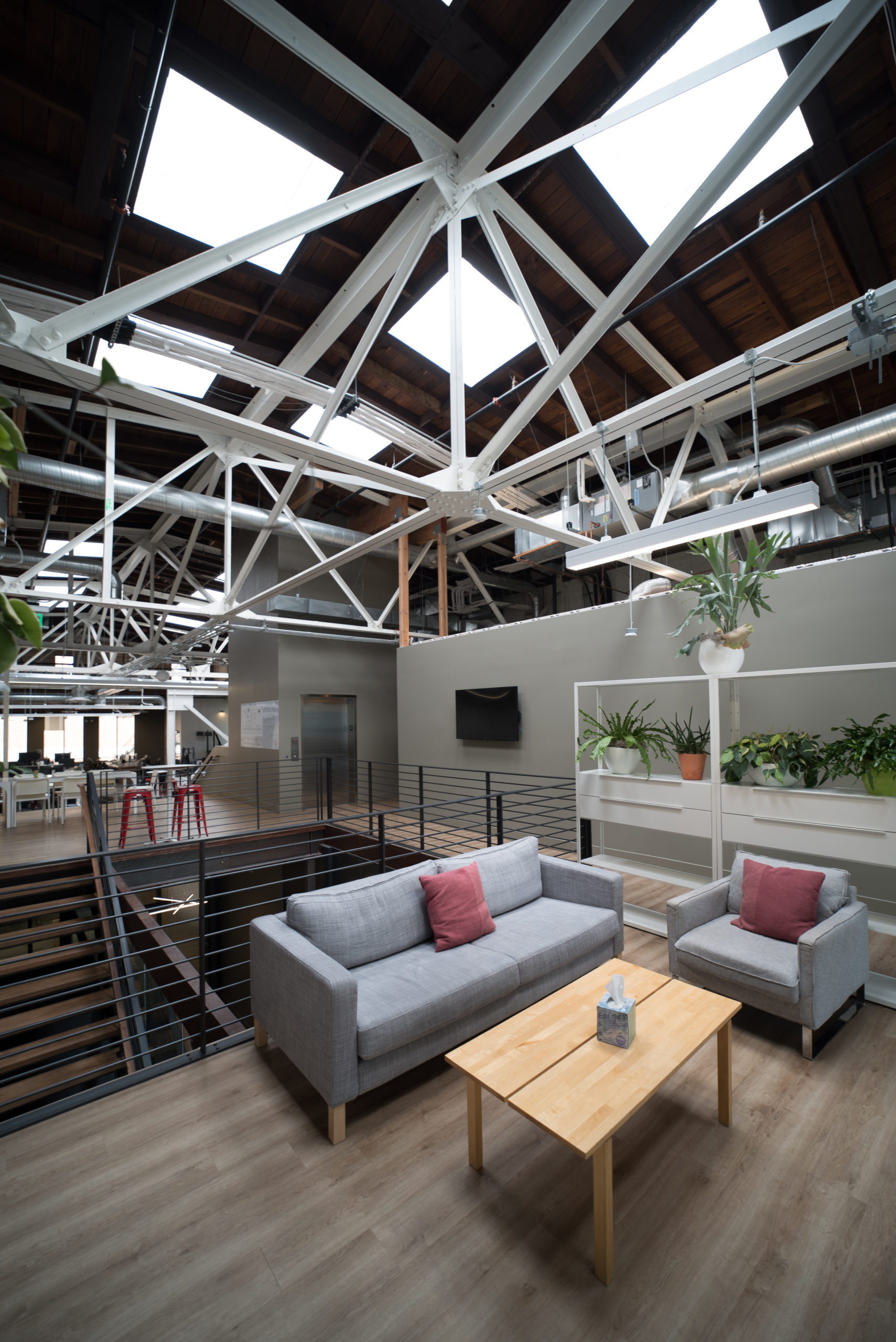 Comfy - Black Creek Builders